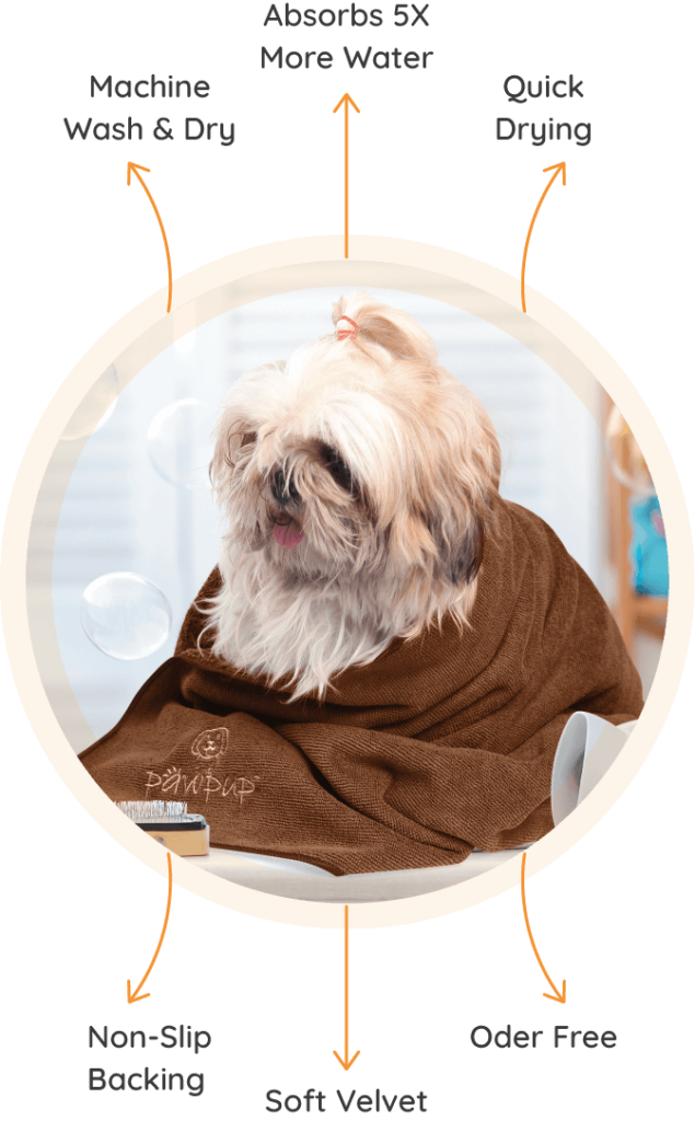Pet Care Products for Dogs | Best Dog Care Products | PAWPUP